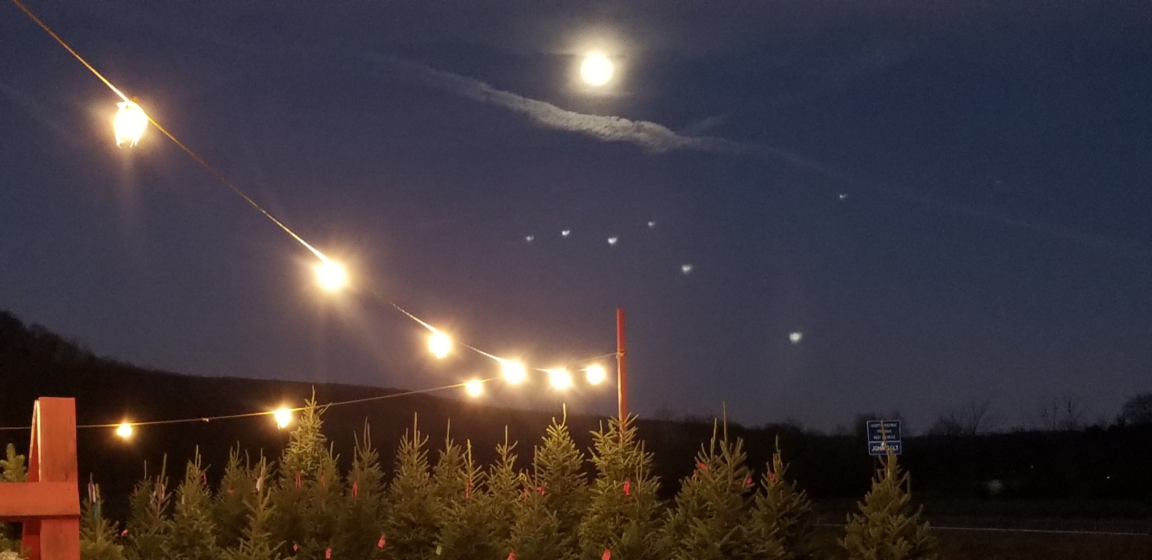 Christmas Trees | Towner Tree Farms, LLC